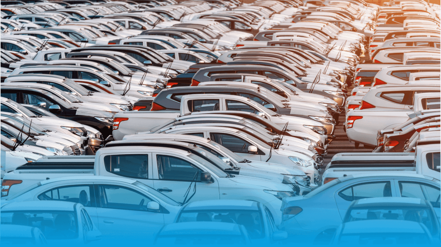 Vayyar Imaging: 4D Imaging Radar For In-Car Safety & ADAS